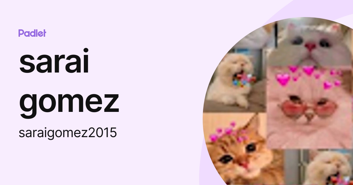 sarai gomez (saraigomez2015) profile | Padlet