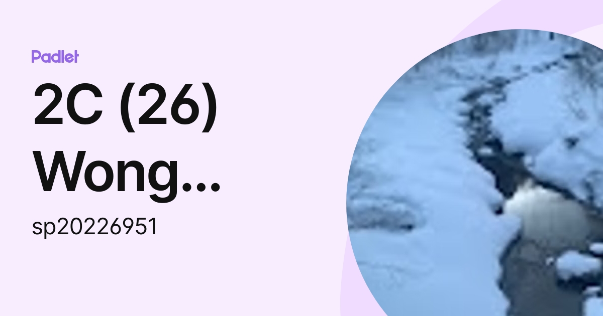 2C (26) Wong Sheung Yi (sp20226951) profile | Padlet