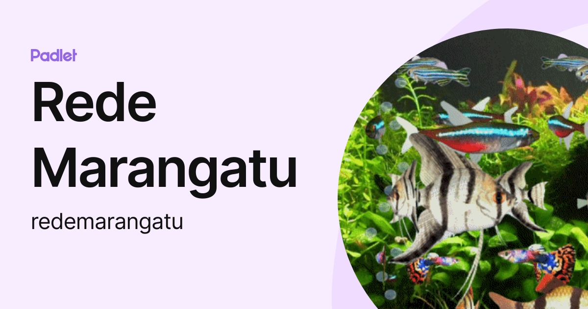 Rede Marangatu (redemarangatu) profile | Padlet