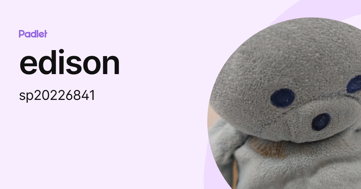 2E (13) Wong Edison (sp20226841) profile | Padlet