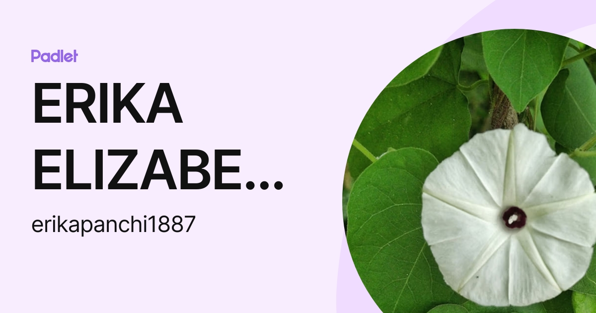 ERIKA ELIZABETH PANCHI TAPIA (erikapanchi1887) profile | Padlet