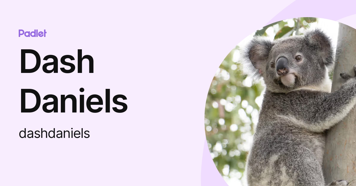 Dash Daniels (DashDaniels) profile | Padlet