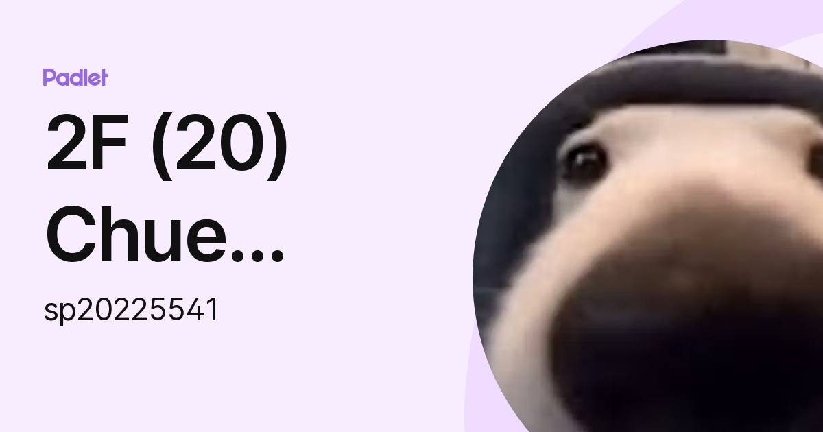 2F (20) Chue Cathy Wai Ching (sp20225541) profile | Padlet