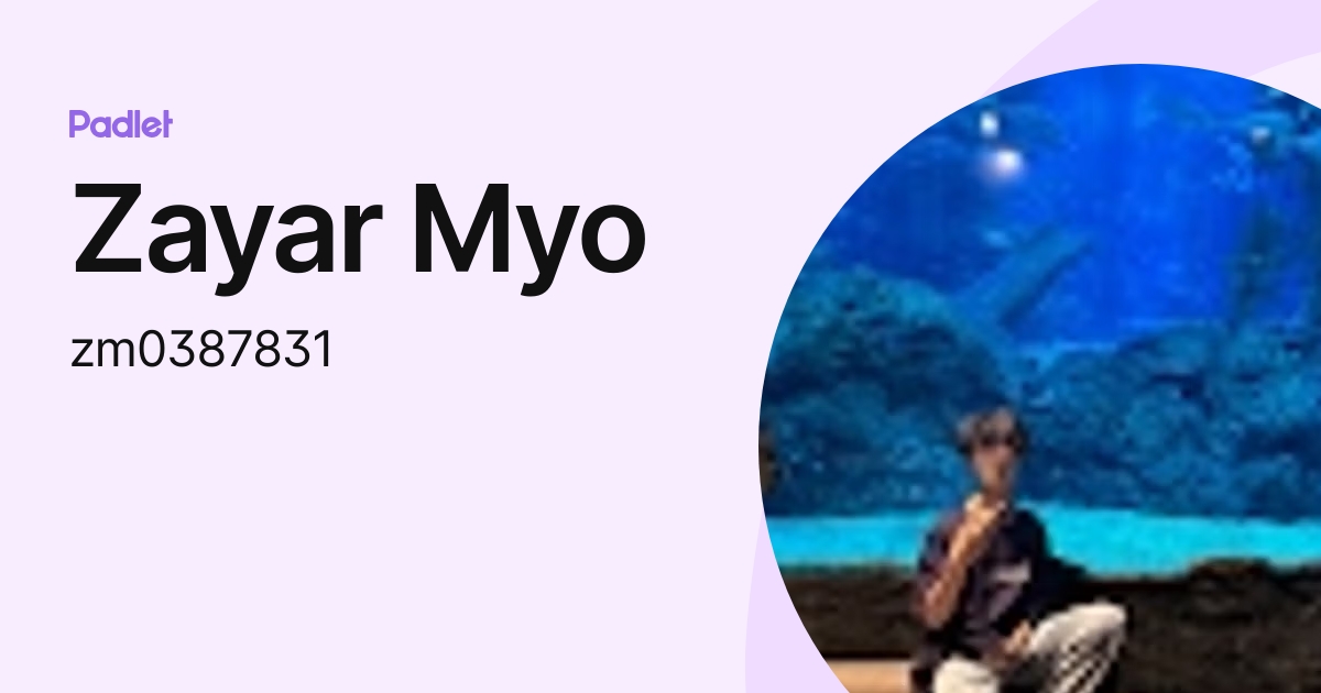 Zayar Myo (zm0387831) profile | Padlet