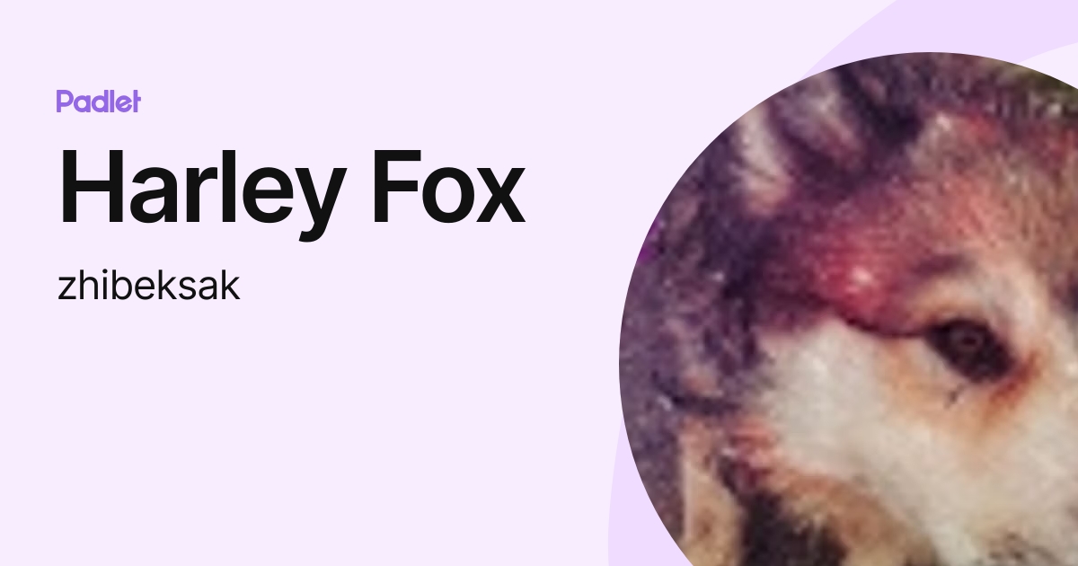 Harley Fox (zhibeksak) profile | Padlet