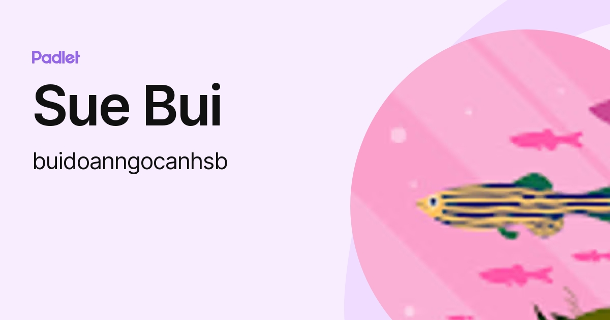 Sue Bui (buidoanngocanhsb) profile | Padlet