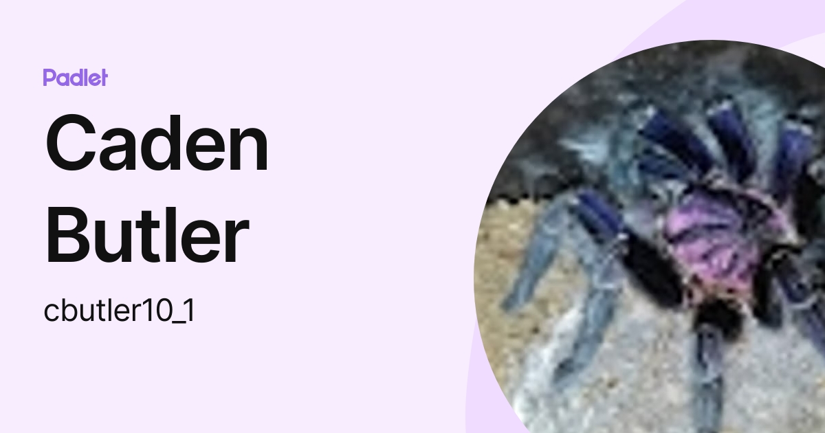 Caden Butler (cbutler10_1) profile | Padlet