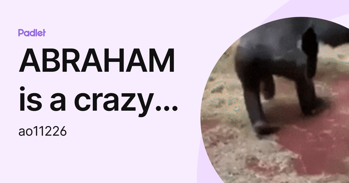 ABRAHAM is a crazy monkey (ao11226) profile | Padlet