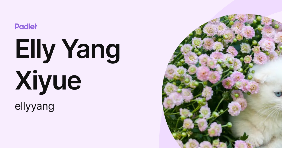 Elly Yang Xiyue (ellyyang) profile | Padlet