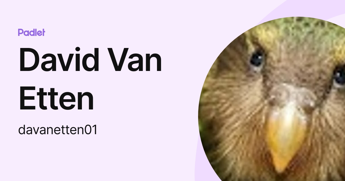 David Van Etten (davanetten01) profile | Padlet