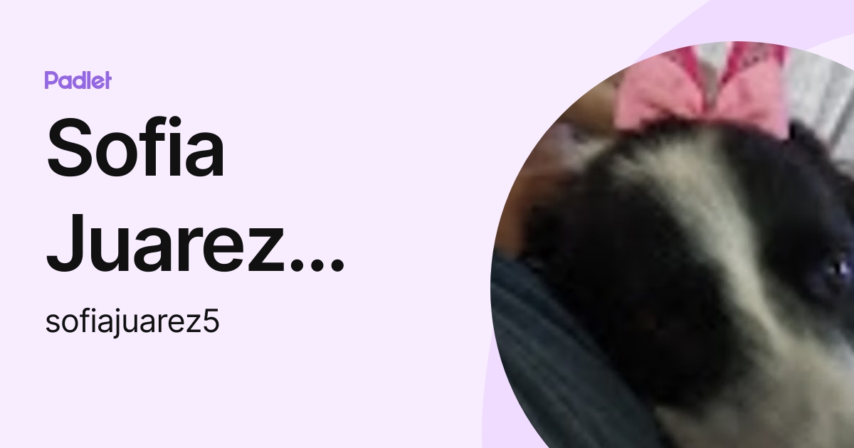 Sofia Juarez Villar (sofiajuarez5) profile | Padlet