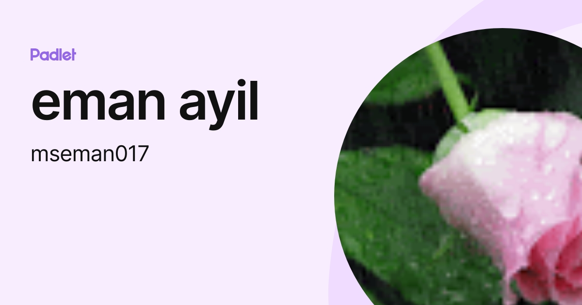 eman ayil (mseman017) profile | Padlet