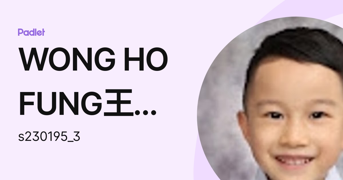 WONG HO FUNG王浩楓 (s230195_3) profile | Padlet