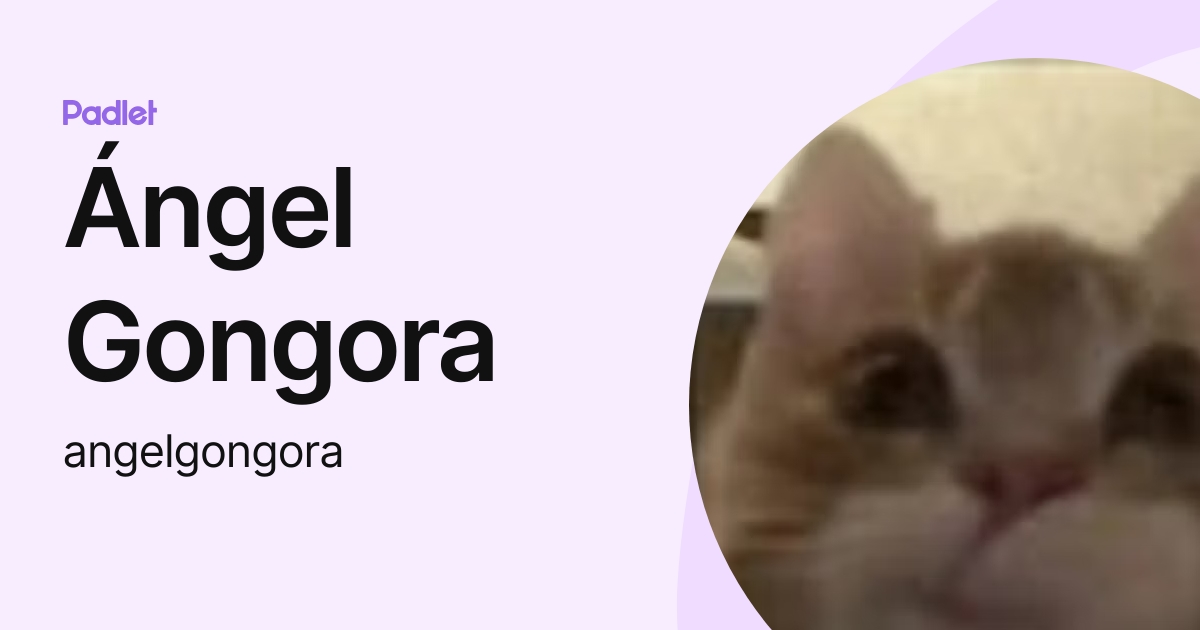 Ángel Gongora (angelgongora) profile | Padlet