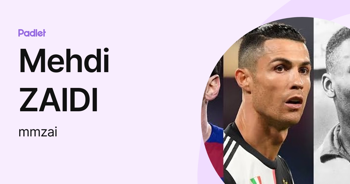 Mehdi ZAIDI (mmzai) profile | Padlet