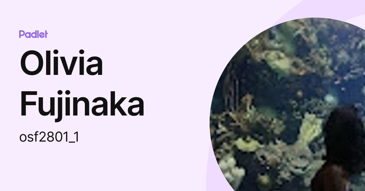 Olivia Fujinaka (osf2801) profile | Padlet