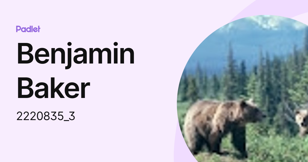 Benjamin Baker (2220835_3) profile | Padlet
