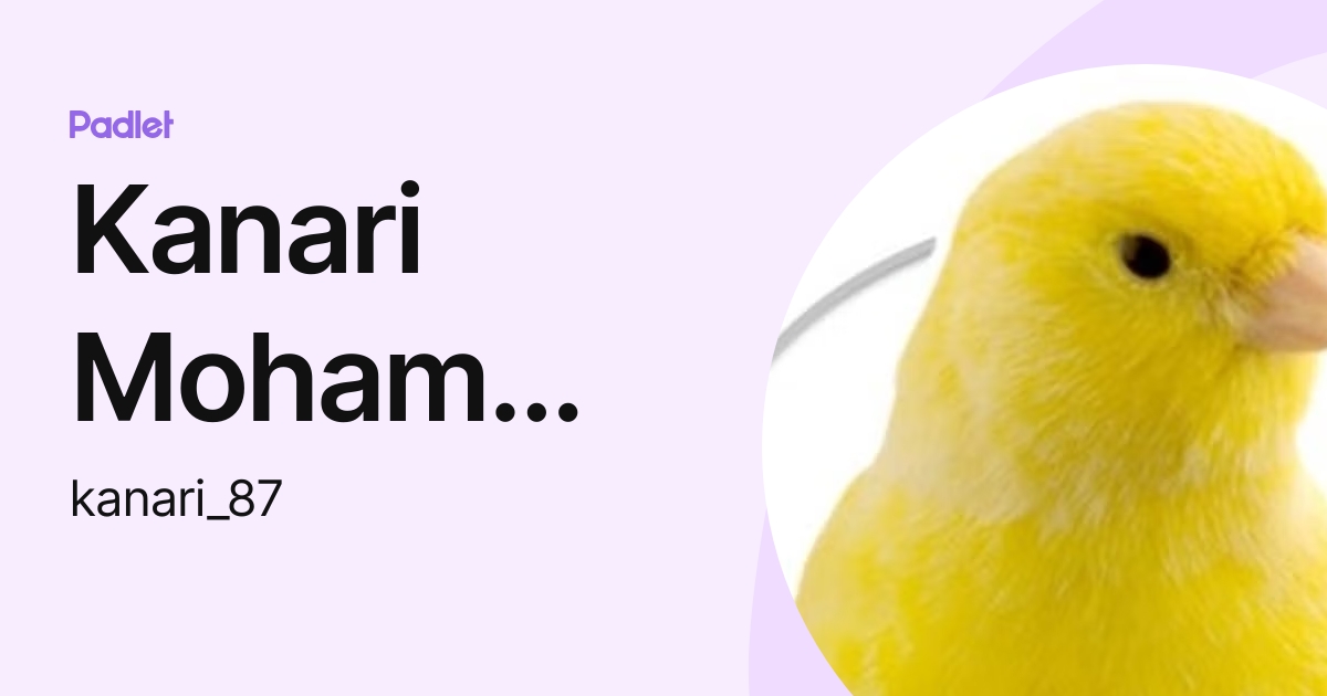 Kanari Mohammed (kanari_87) profile | Padlet