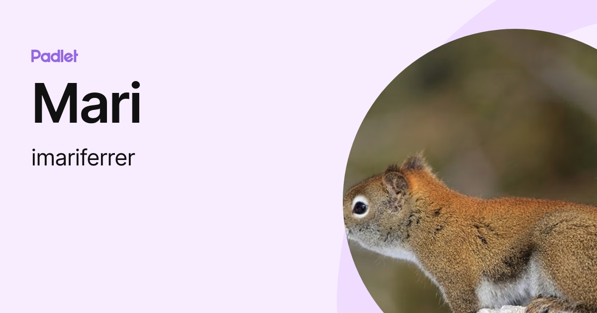 Mari (imariferrer) profile | Padlet