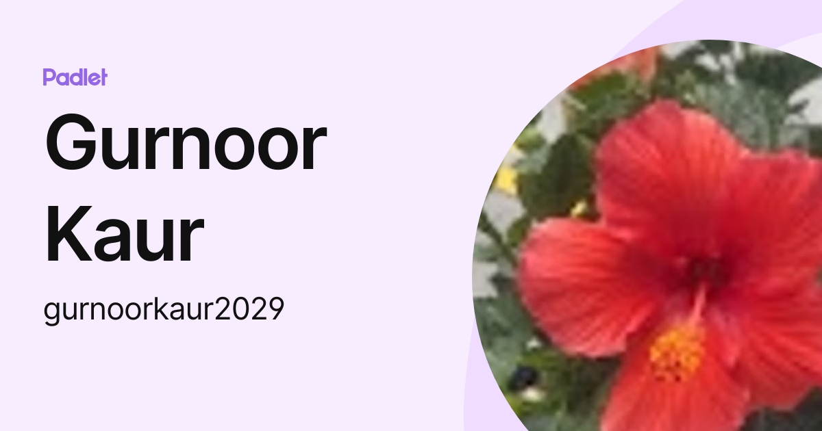 Gurnoor Kaur (gurnoorkaur2029) profile | Padlet