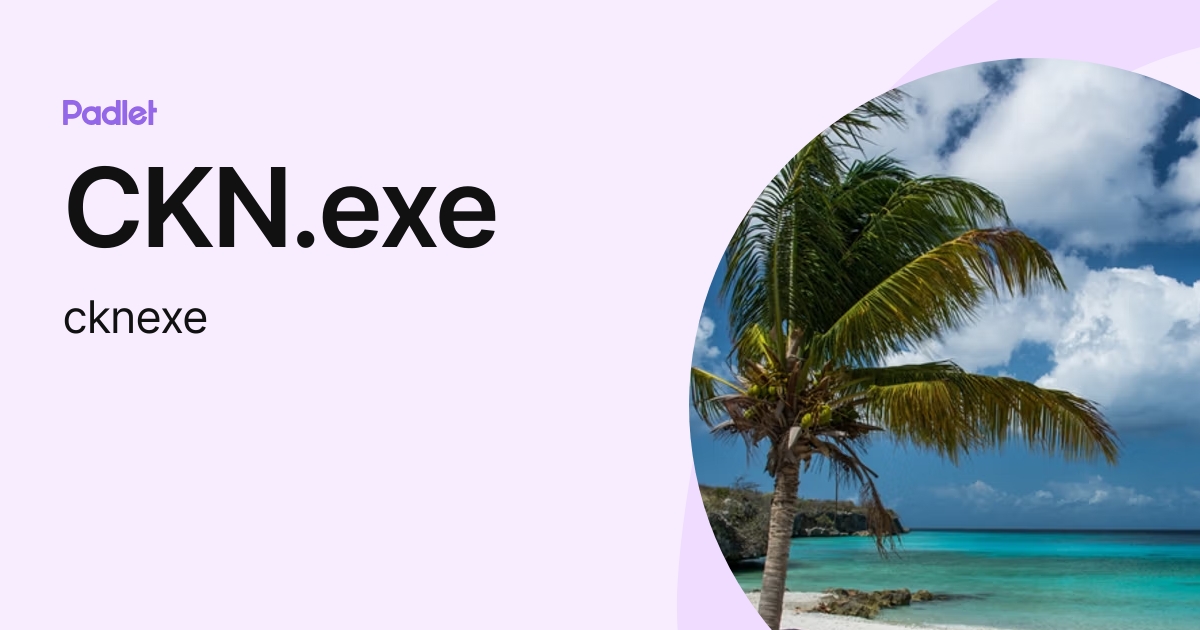 CKN.exe (cknexe) profile | Padlet