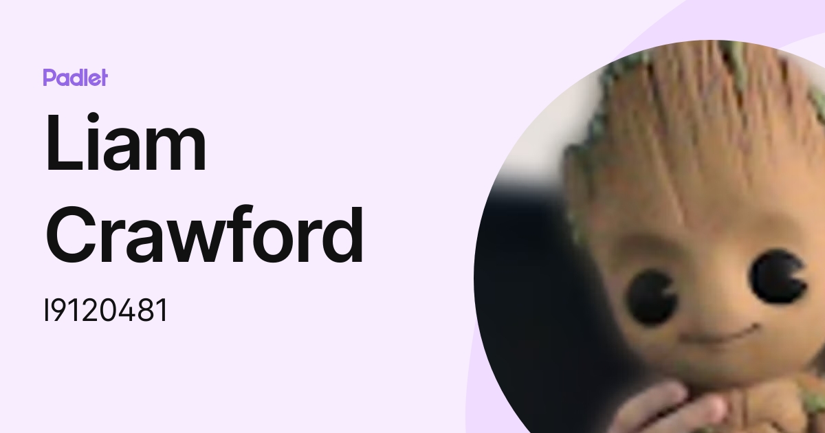 Liam Crawford (l9120481) profile | Padlet