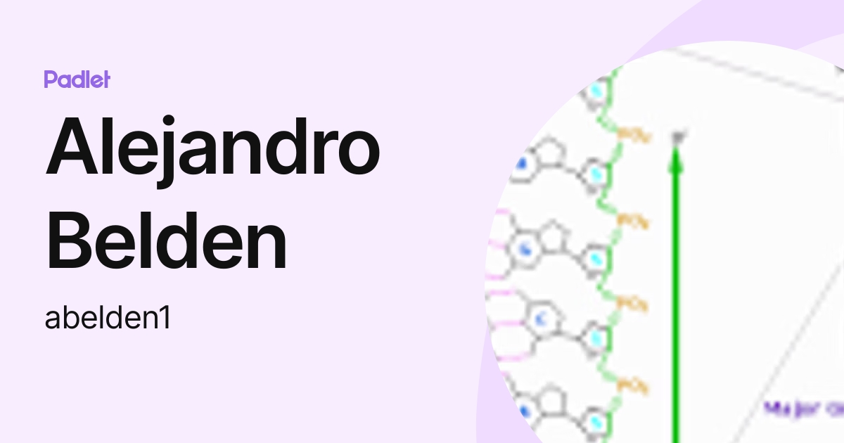 Alejandro Belden (abelden1) profile | Padlet