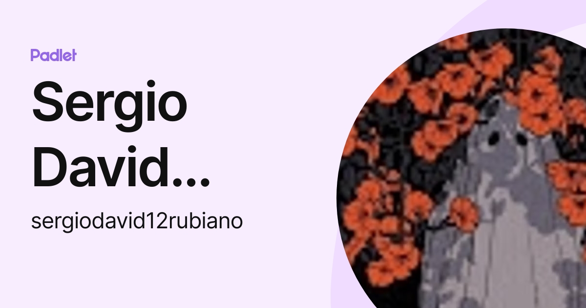 Sergio David Duran Rubiano (sergiodavid12rubiano) profile | Padlet