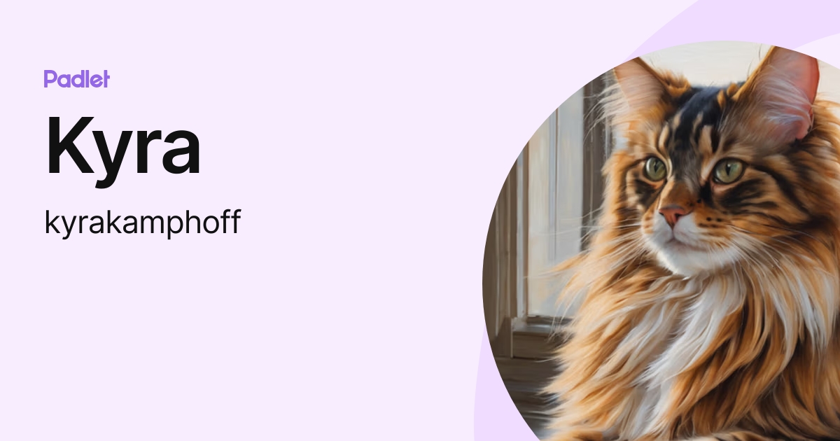 Kyra (kyrakamphoff) profile | Padlet