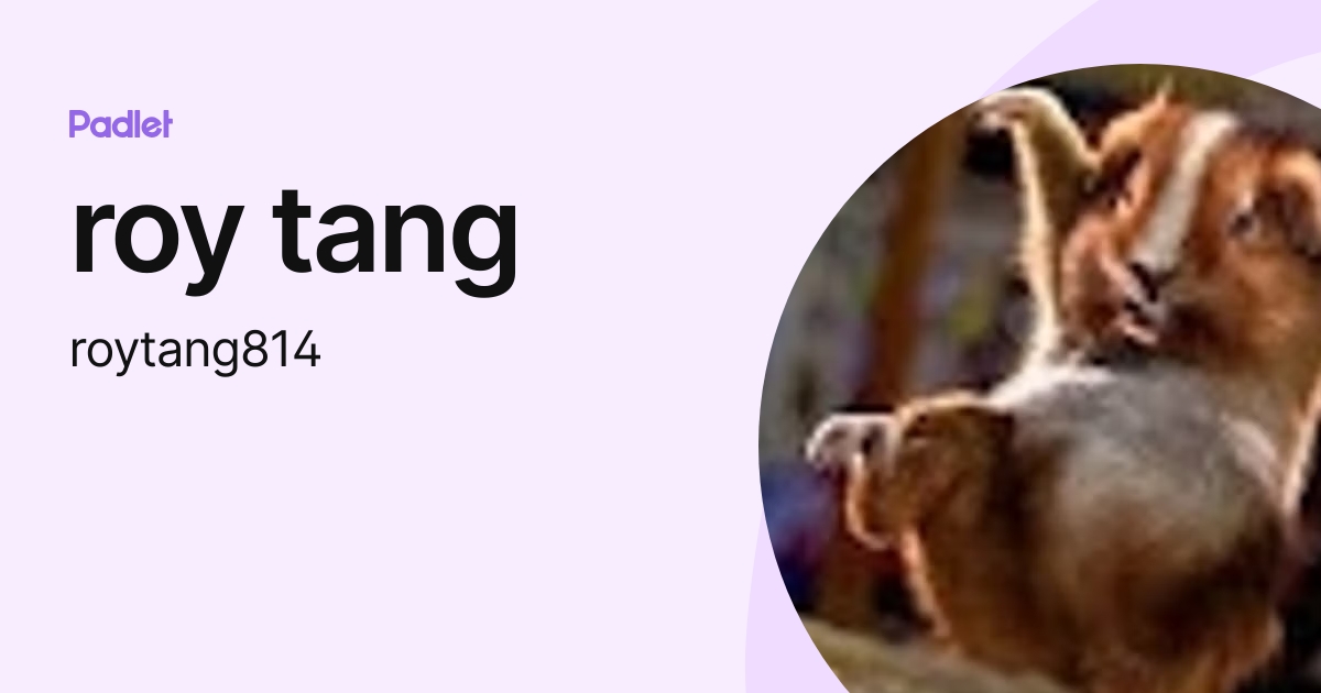 roy tang (roytang814) profile | Padlet