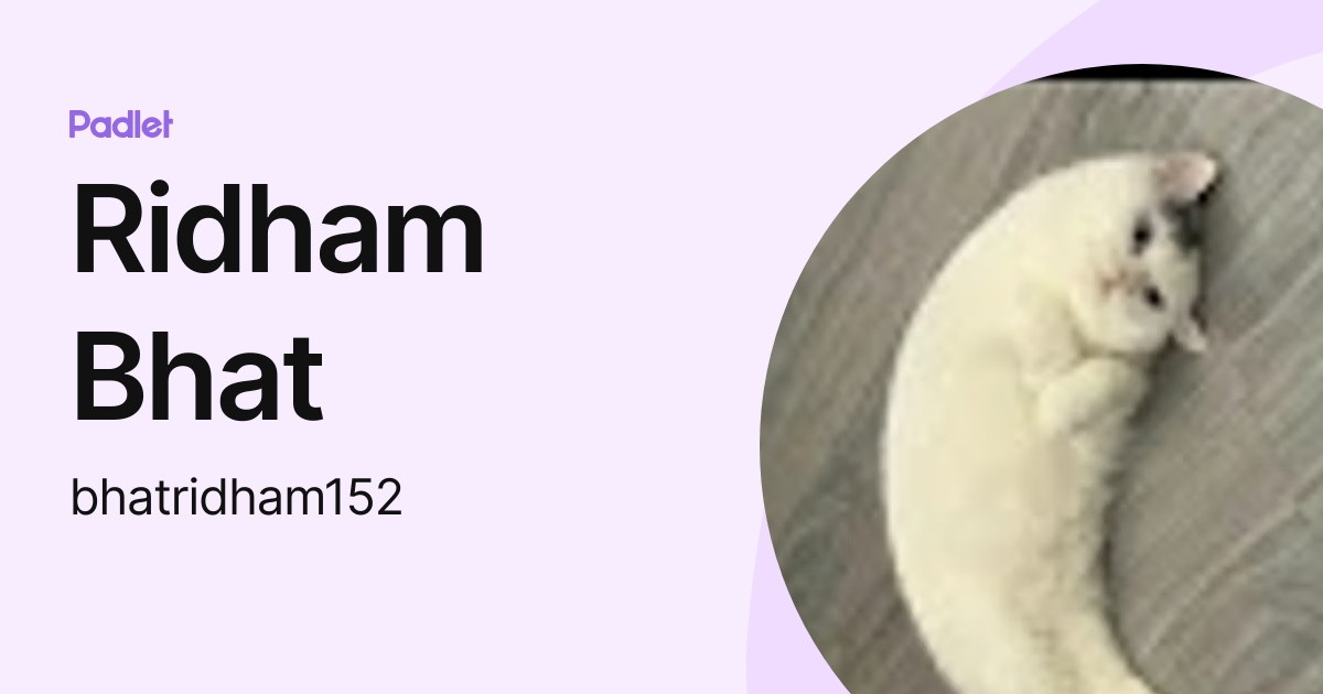 Ridham Bhat (bhatridham152) profile | Padlet