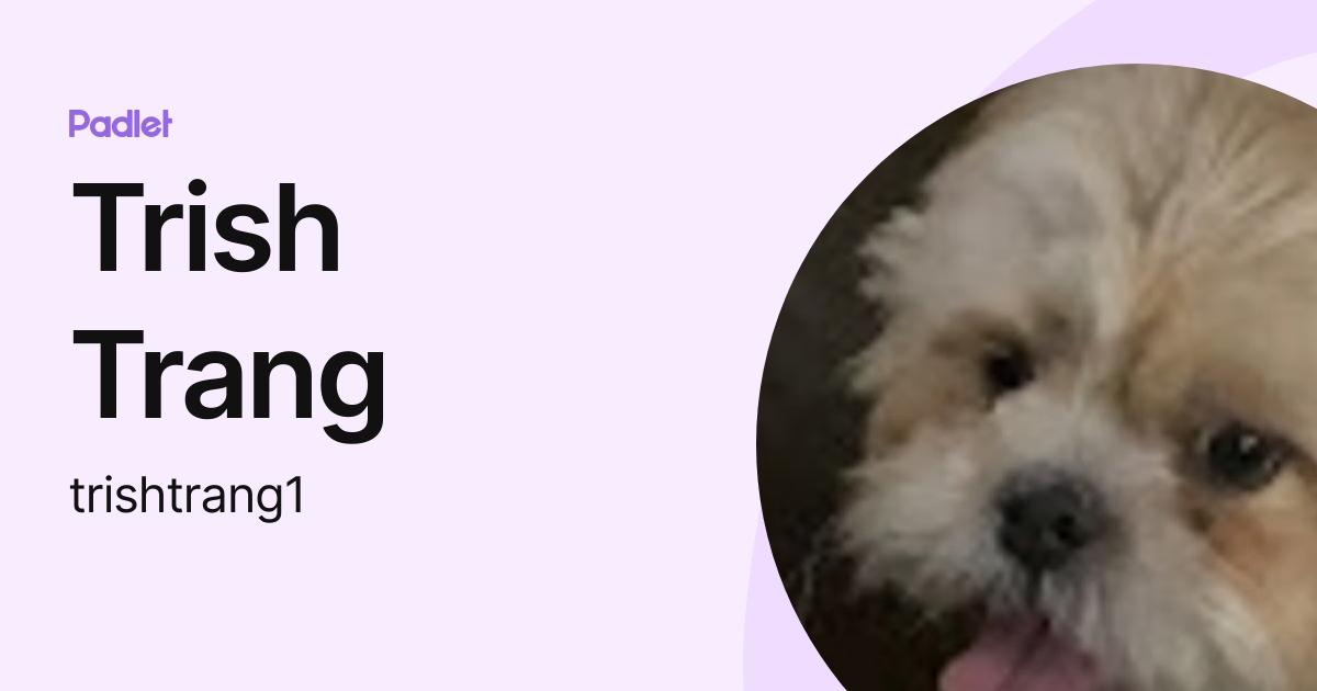 Trish Trang (trishtrang) profile | Padlet