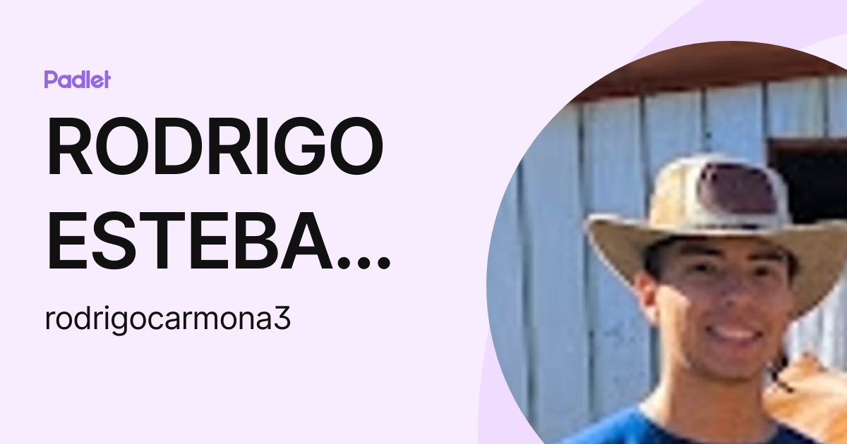 RODRIGO ESTEBAN CARMONA FUENTES (rodrigocarmona3) profile | Padlet