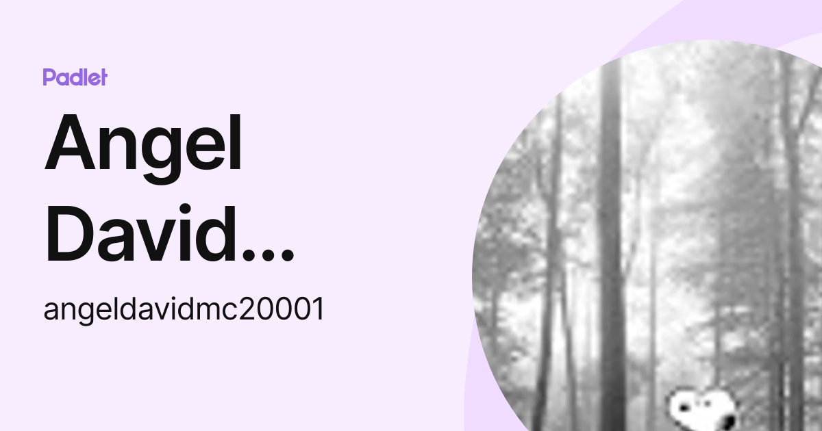 Angel David Morales Cuenca (angeldavidmc20001) profile | Padlet