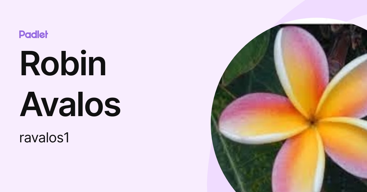 Robin Avalos (ravalos1) profile | Padlet