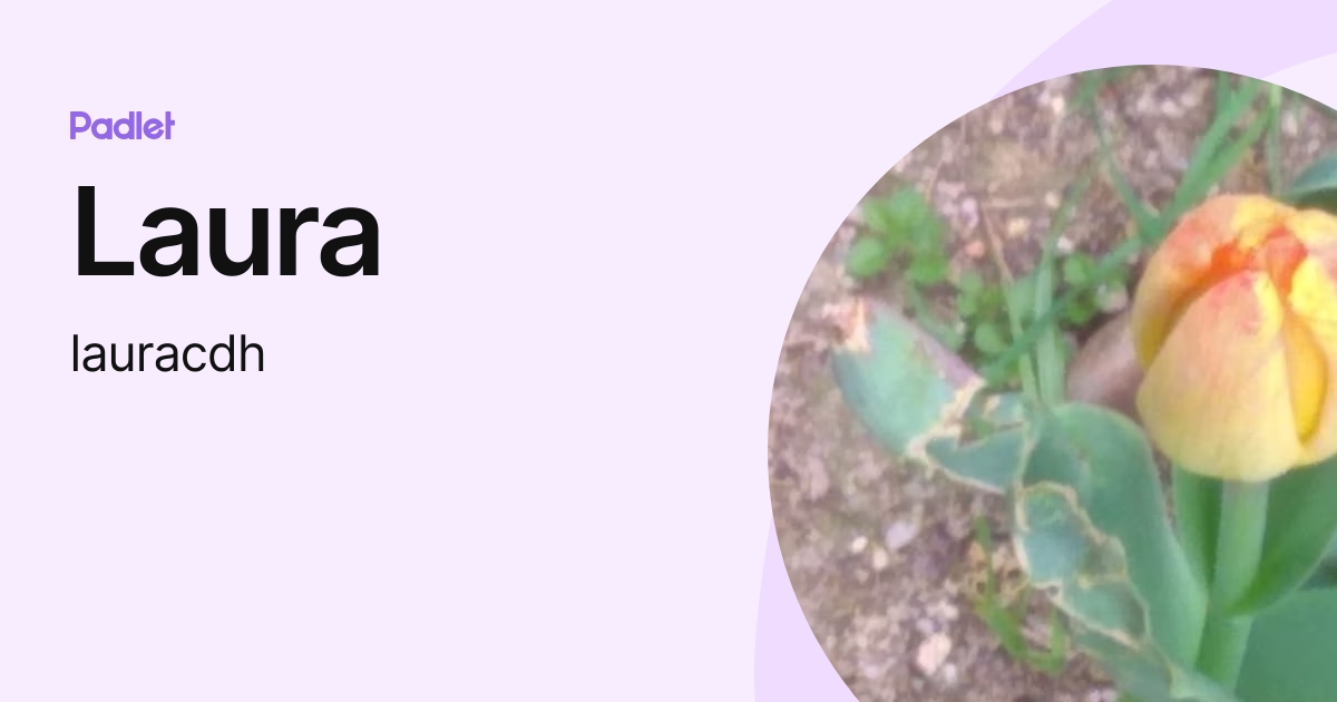 Laura (lauracdh) profile | Padlet