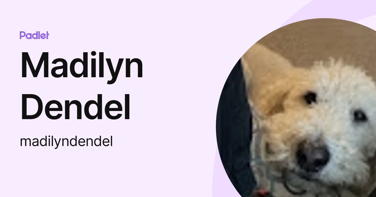 Madilyn Dendel (madilyndendel) profile | Padlet