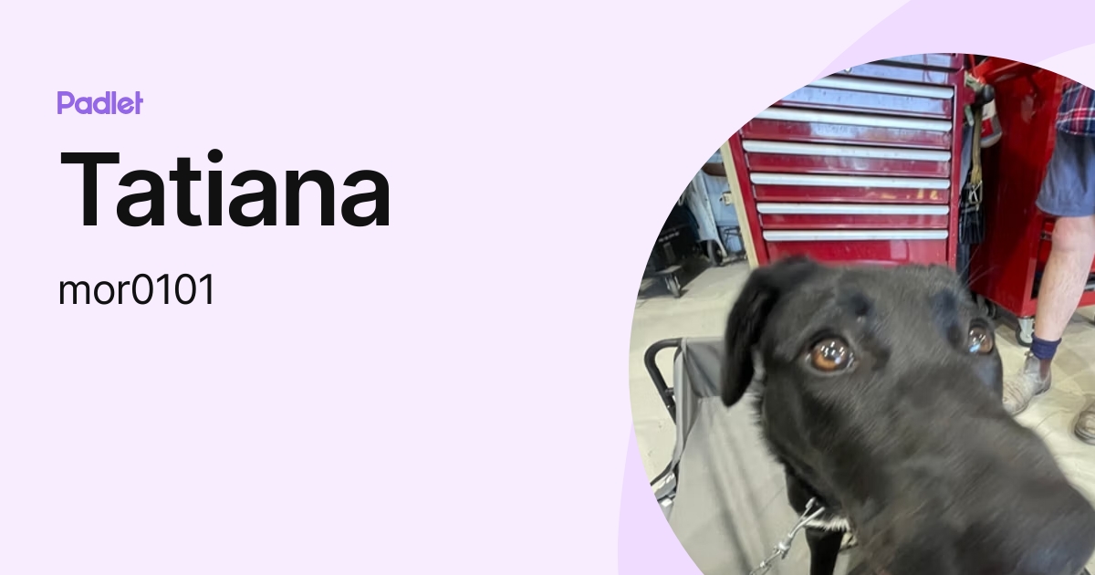 Tatiana (mor0101) profile | Padlet