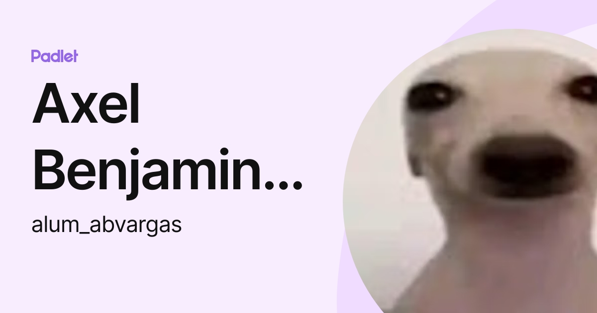 Axel Benjamin VARGAS CHIROQUE (alum_abvargas) profile | Padlet