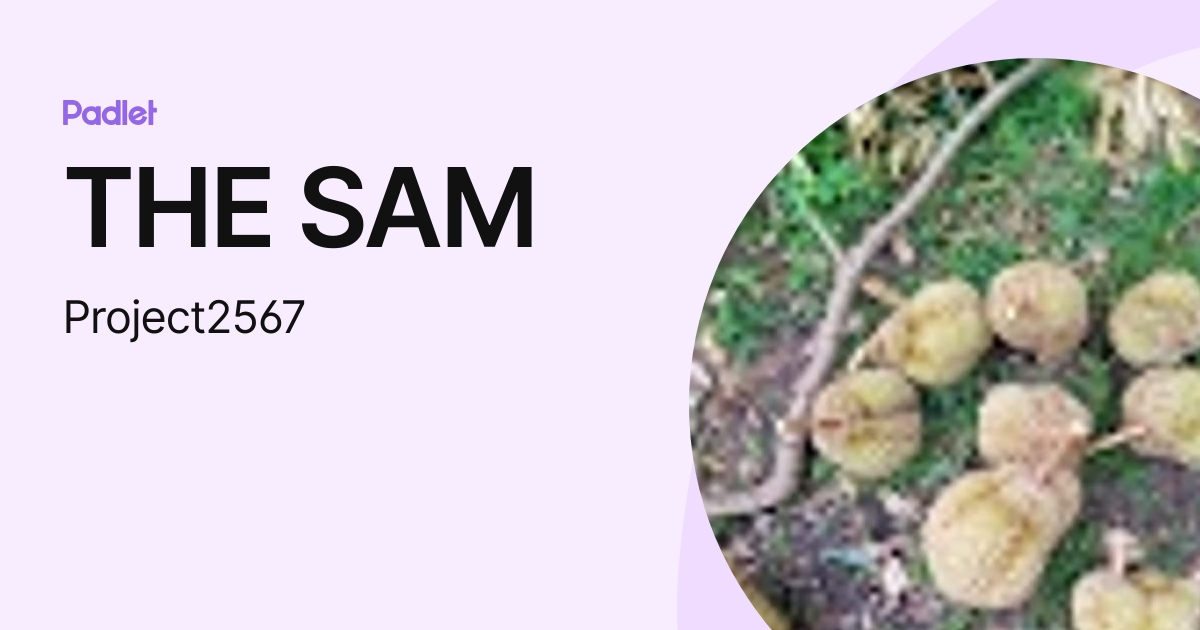 THE SAM (Project2567) profile | Padlet