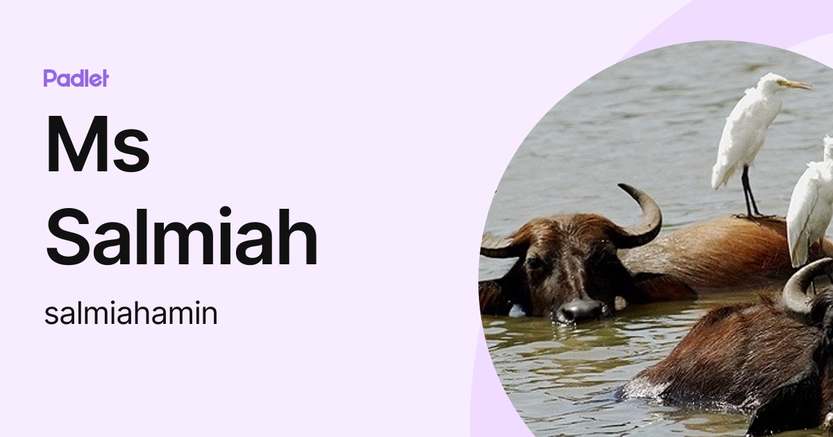 Ms Salmiah (salmiahamin) profile | Padlet