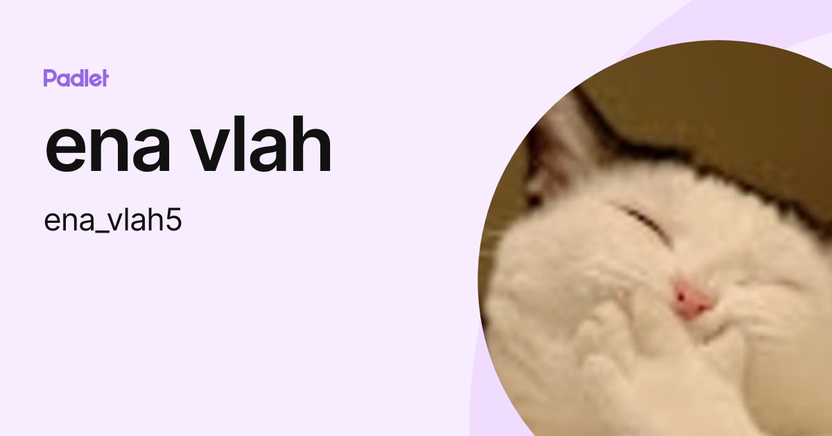 ena vlah (ena_vlah5) profile | Padlet