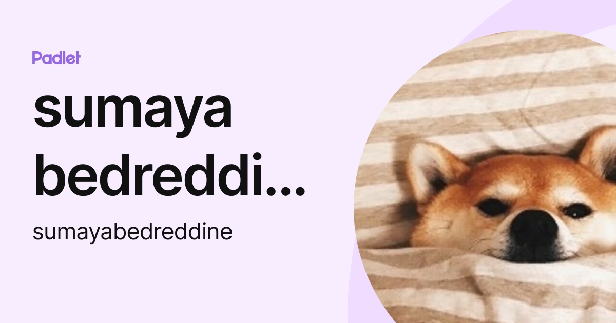 sumaya bedreddine (sumayabedreddine) profile | Padlet