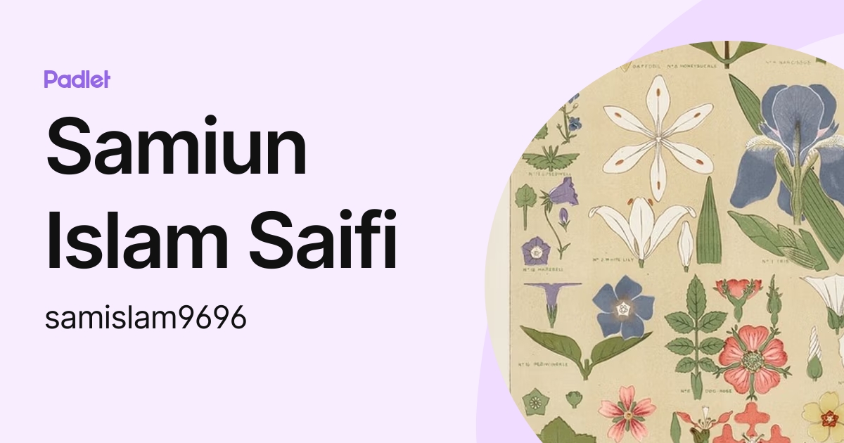 Samiun Islam Saifi (samislam9696) profile | Padlet