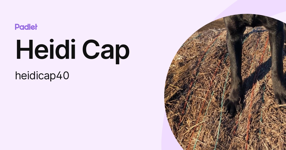 Heidi Cap (heidicap40) profile | Padlet