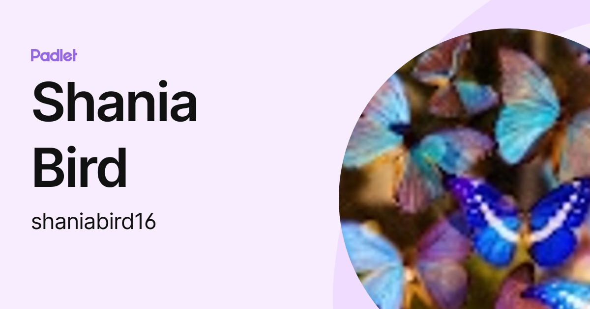 Shania Bird (shaniabird16) profile | Padlet