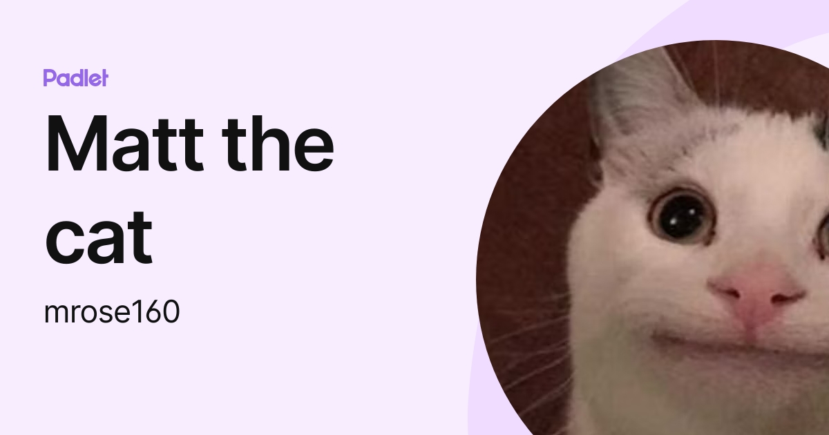 Matt the cat (mrose160) profile | Padlet