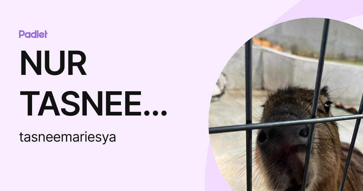 NUR TASNEEM ARIESYA BINTI MUHAMAD ASMAWI (tasneemariesya) profile | Padlet