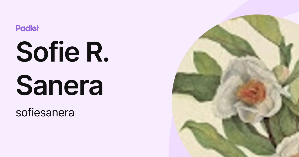 Sofie R. Sanera (sofiesanera) profile | Padlet