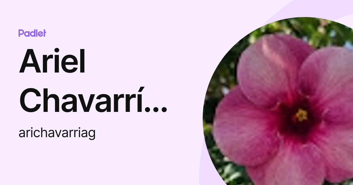 Ariel Chavarría Guevara (arichavarriag) profile | Padlet